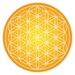 Flower of Life Symbol | Digital Art - Etsy