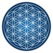 Flower of Life Symbol | Digital Art - Etsy