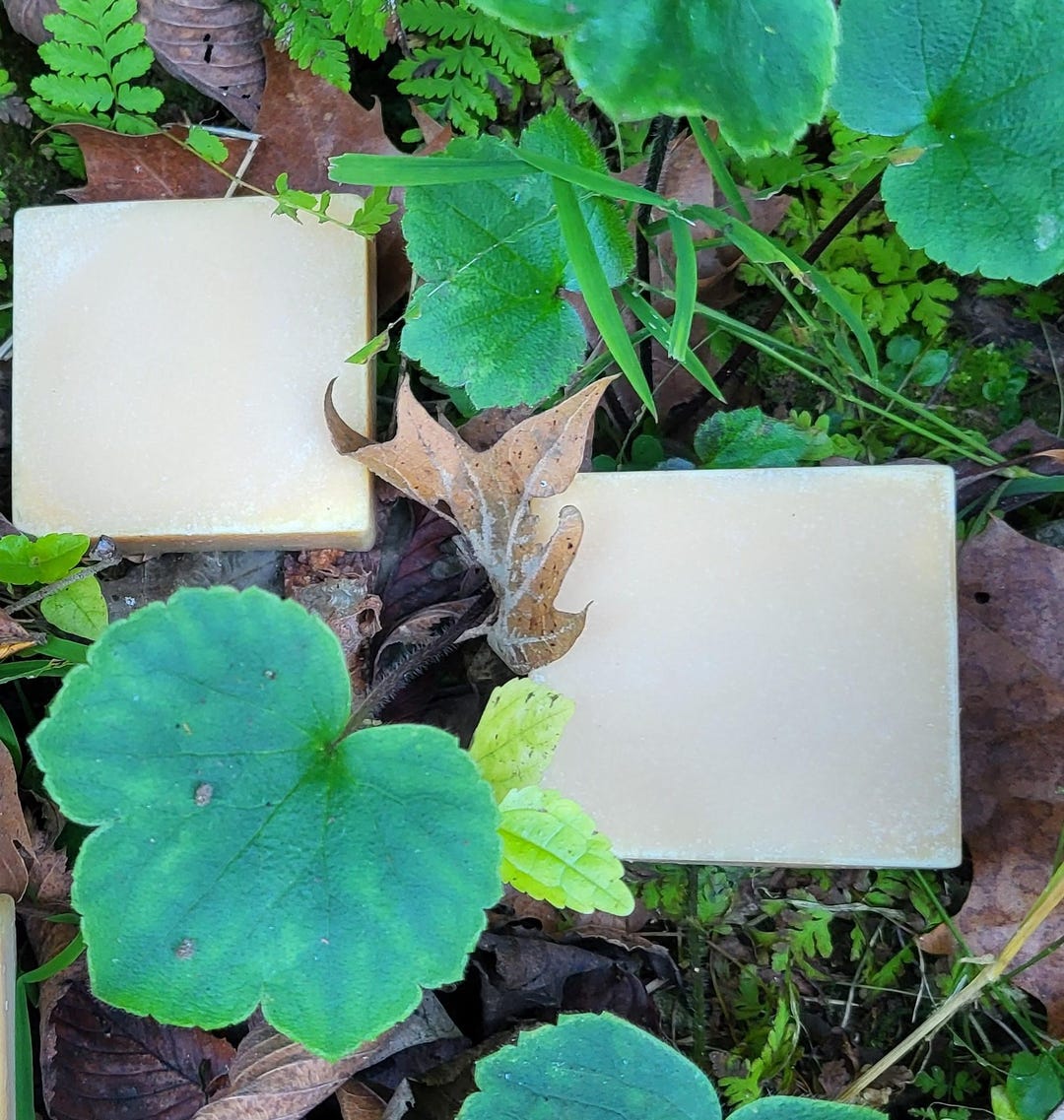 Three Year Aged Coconut Castile - Etsy