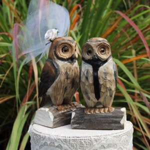Rustic Owl Wedding Cake Topper: Carved Bride & Groom Snowy Owl Cake ...
