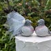 New! Pigeon Wedding Cake Topper: Handcarved Painted Wooden Bride Groom ...