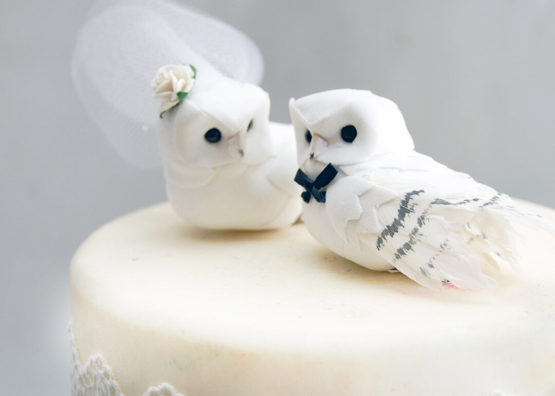 Snowy Owl Cake Topper for a Magical Wedding: Snowy Owl Bride & Groom - Etsy