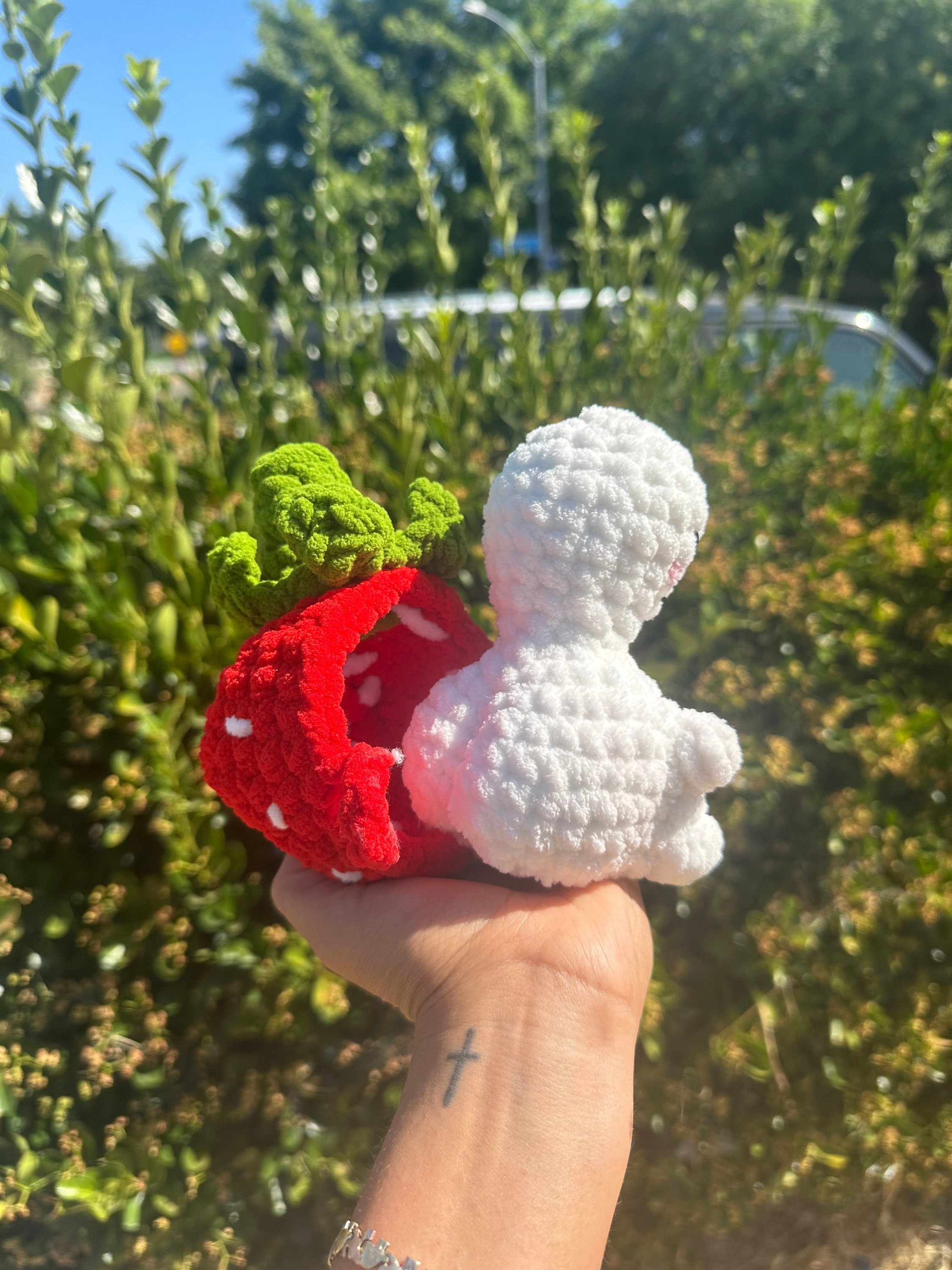 Sweet Strawberry Trunk the Turtle, Cheeky Turtle Plush Crochet Plushie ...