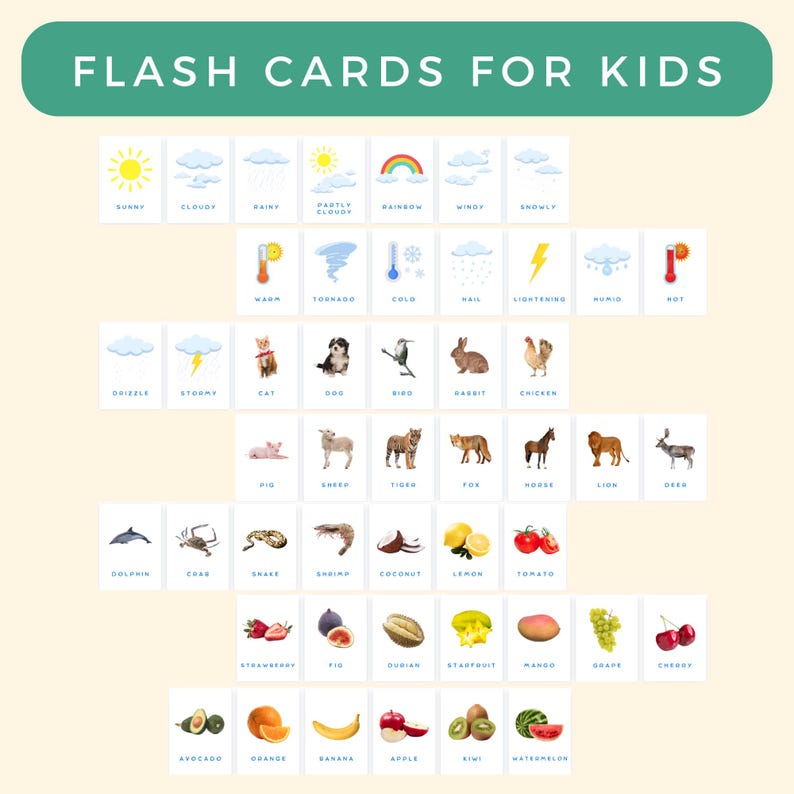 Flashcards for Kids, Printable Flash Cards, Flash Cards, Montessori ...