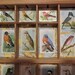 Useful Birds of America in Slotted Printer Drawer Assemblage - Etsy