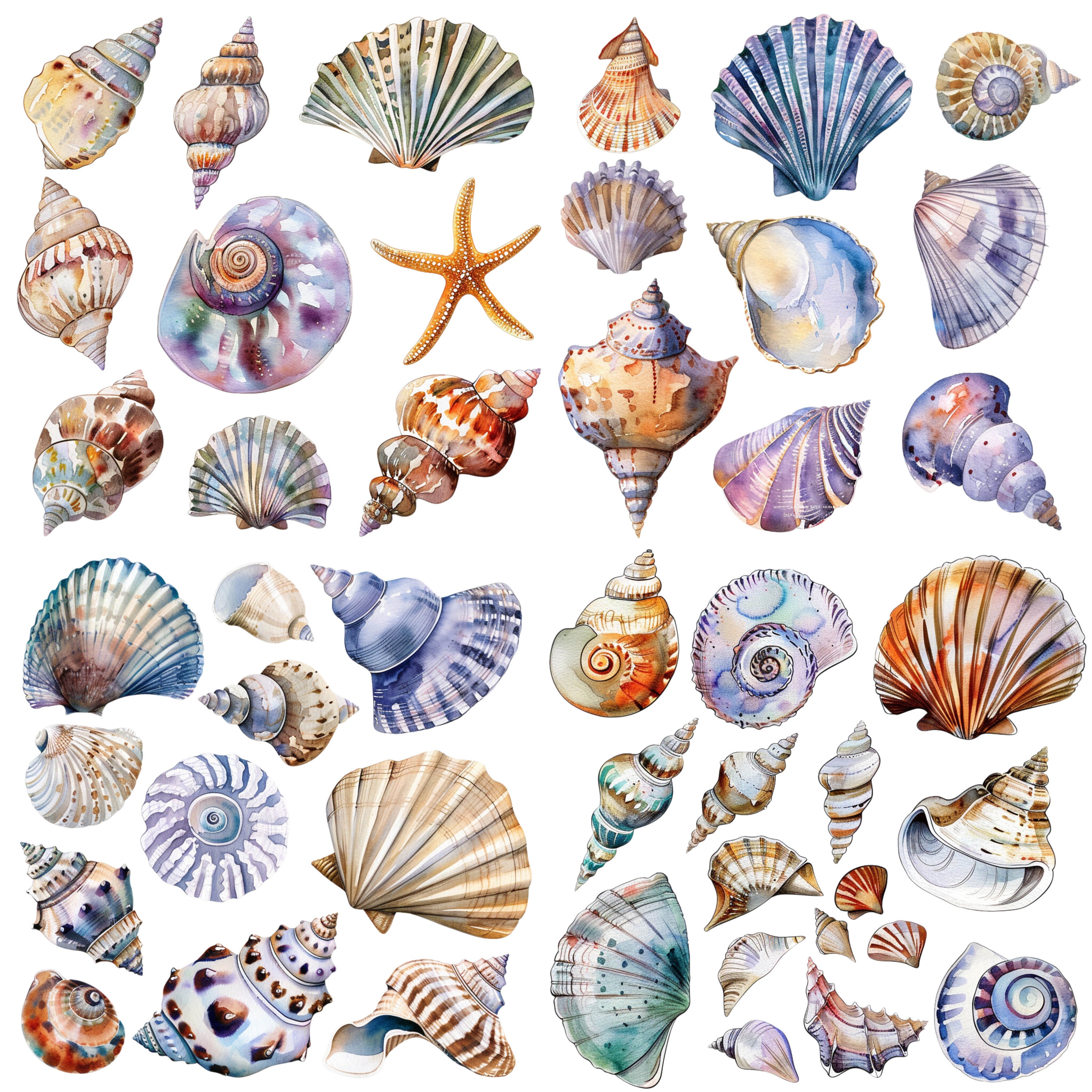Underwater Clipart Digital PNG Files Fish, Shells, Seaweed, Stones ...