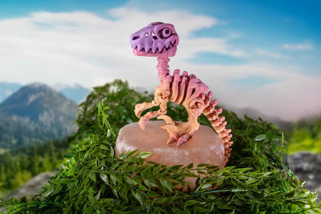 Raptor esqueleto / Juguete Dino articulado / Dinosaurio móvil / Idea de ...