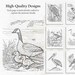 100 Wetland Animals Coloring Pages Adults and Kids Coloring Book ...