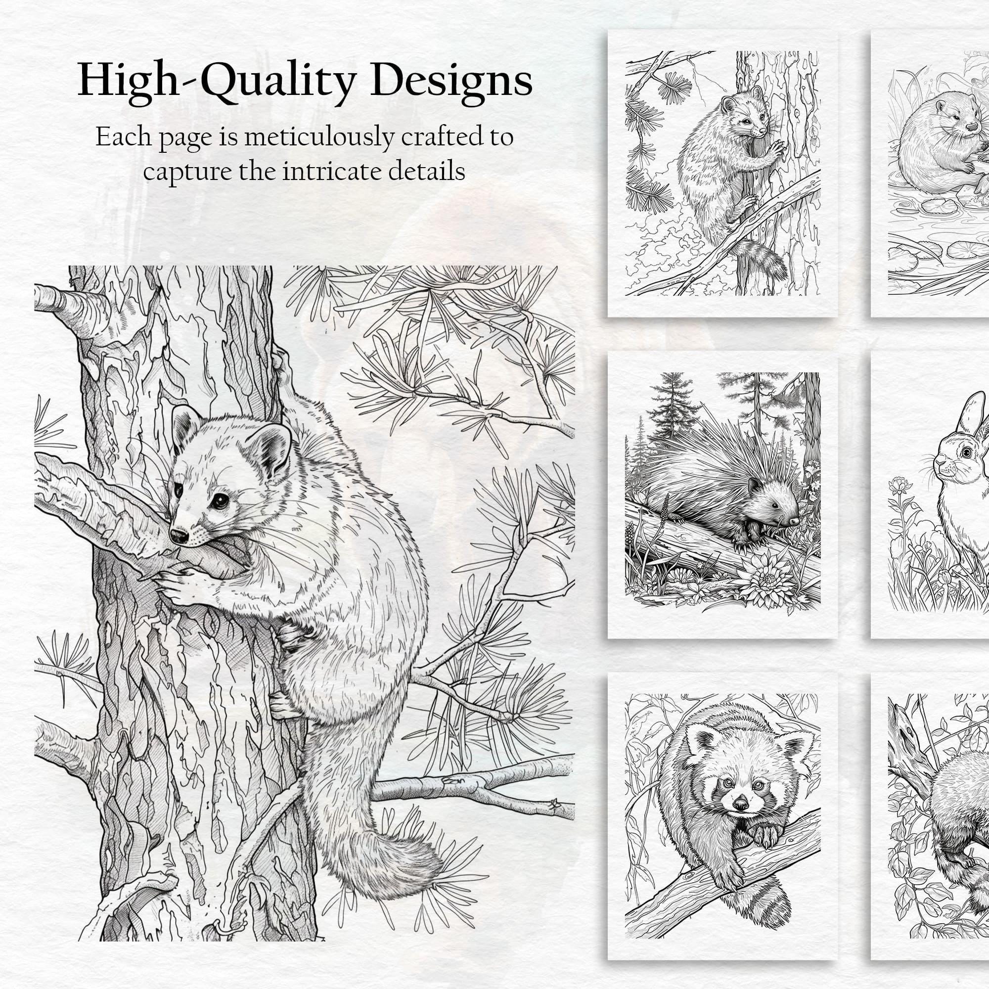 100 Forest Animals Coloring Pages - Adults and Kids Coloring Book ...