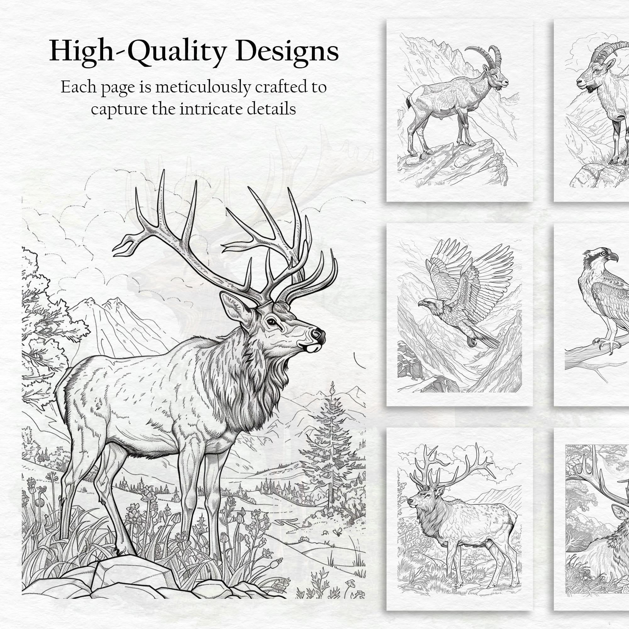 100 Mountain Animals Coloring Pages - Adults and Kids Coloring Book ...