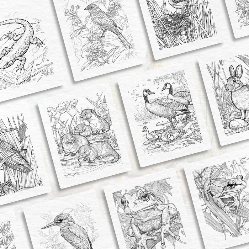 100 Wetland Animals Coloring Pages - Adults and Kids Coloring Book ...