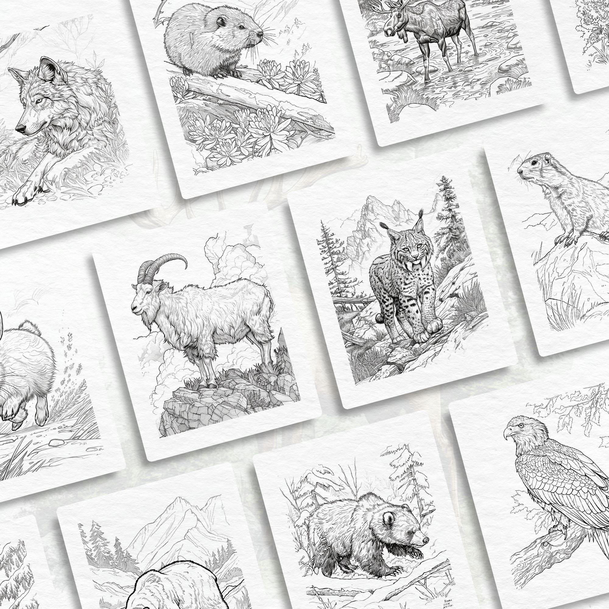 100 Mountain Animals Coloring Pages - Adults and Kids Coloring Book ...