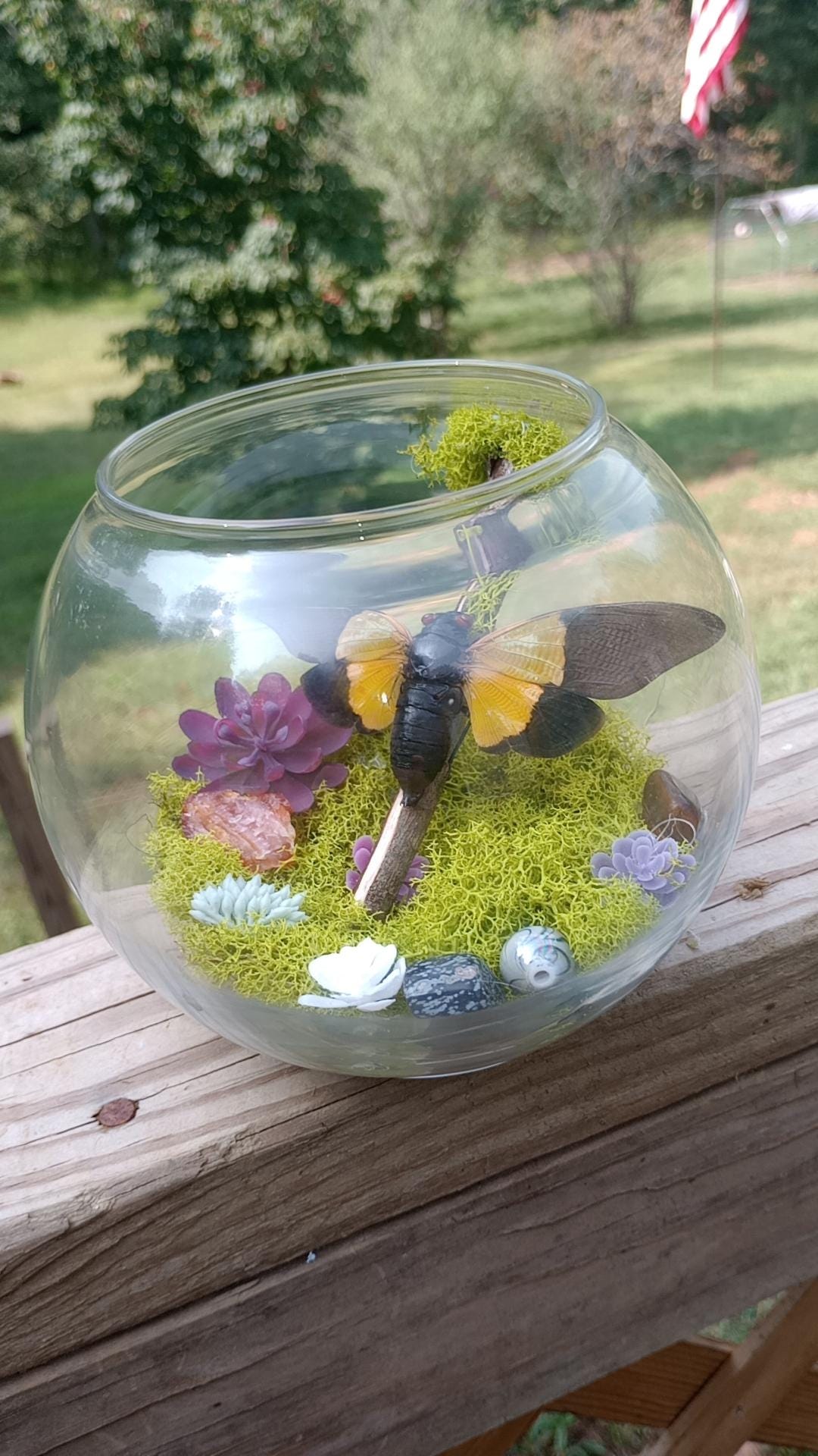 Cottagecore Cicada Ecosystem Decor - Etsy