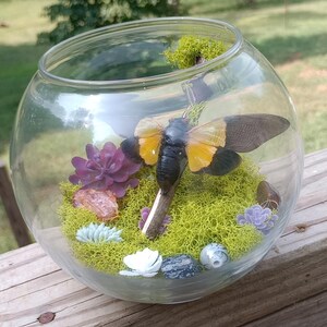 Cottagecore Cicada Ecosystem Decor - Etsy