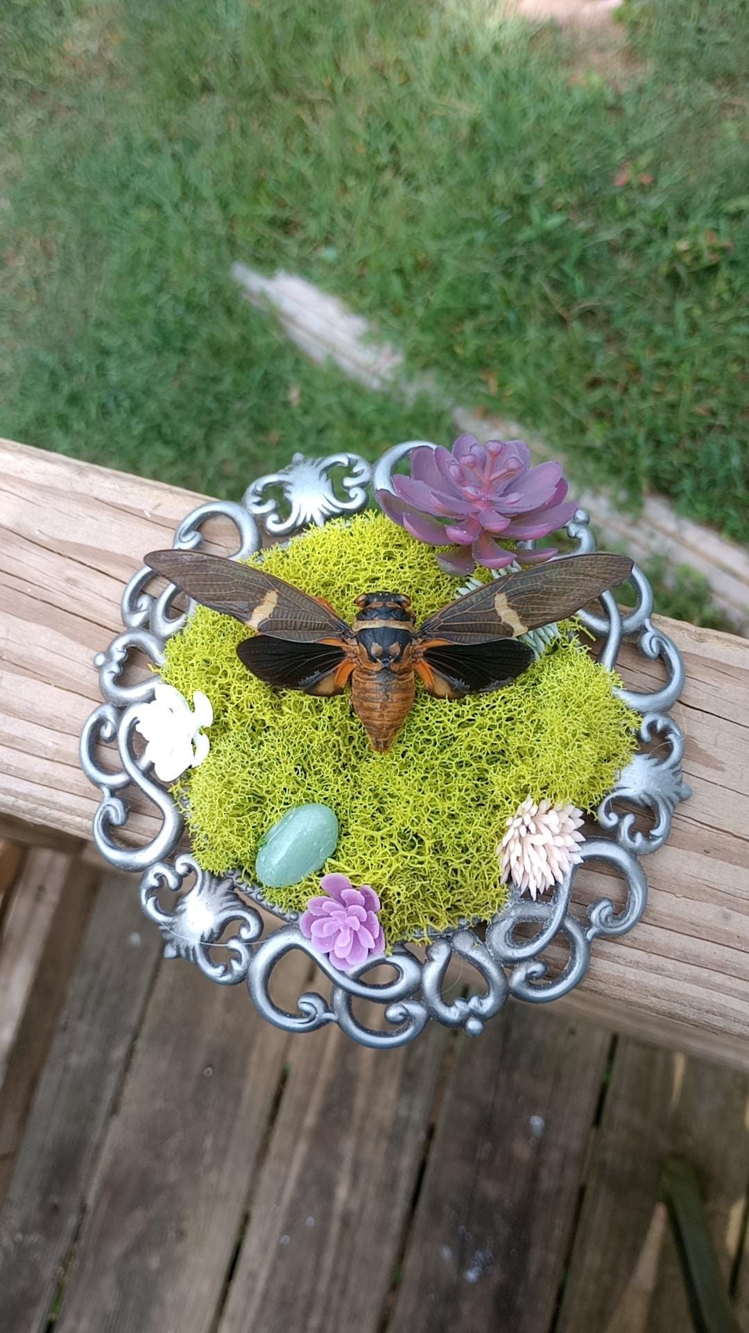 Cottagecore Cicada Wall Decor - Etsy