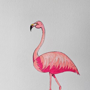 Hand-drawn A4 Posters of Animals and Their Collective Nouns. These Are ...