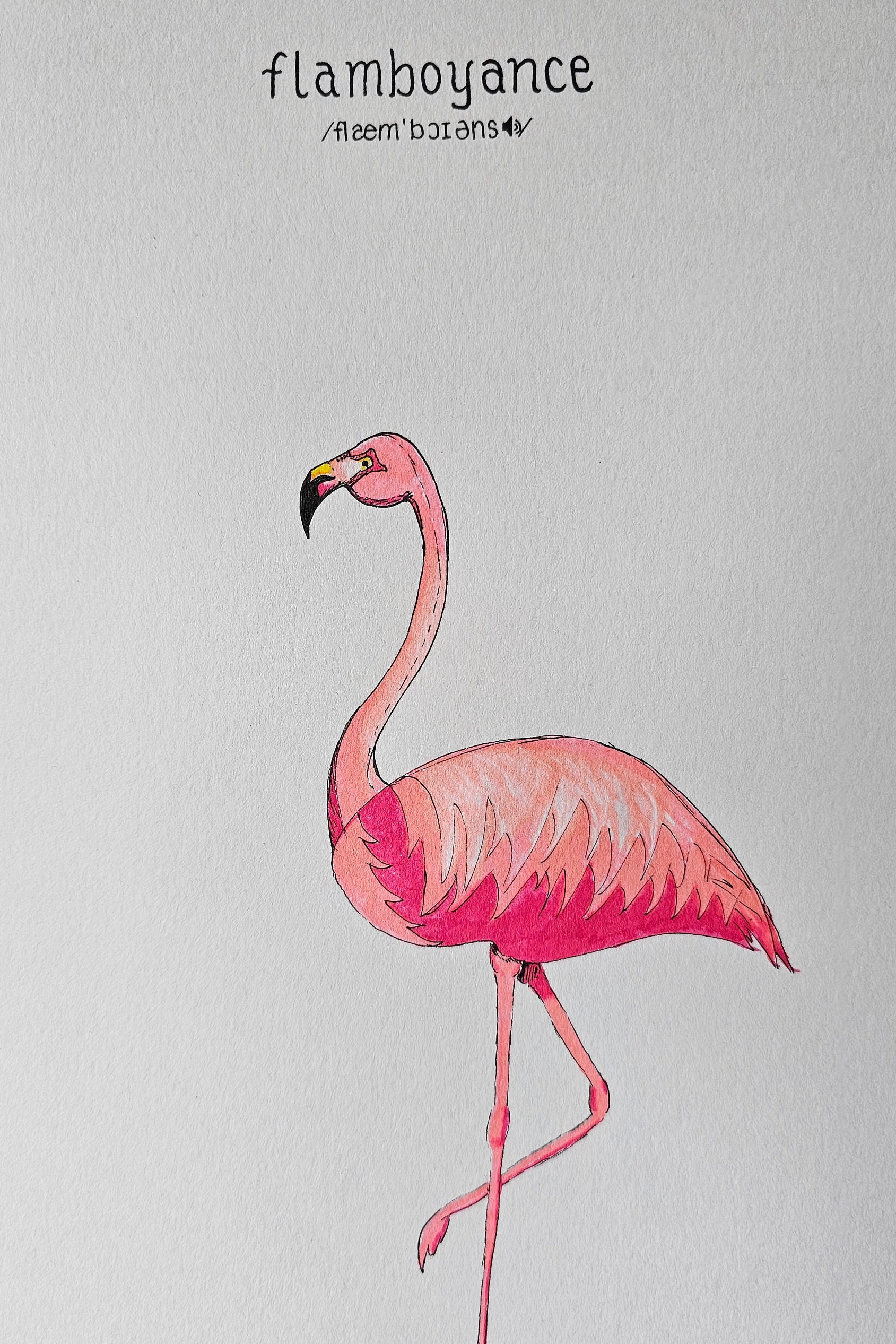 Hand-drawn A4 Posters of Animals and Their Collective Nouns. These Are ...