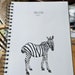 Hand-drawn A4 Posters of Animals and Their Collective Nouns. These Are ...
