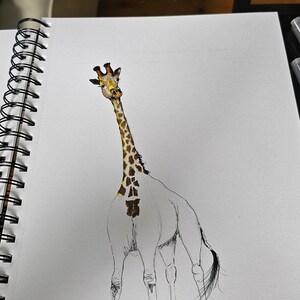 Hand-drawn A4 Posters of Animals and Their Collective Nouns. These Are ...