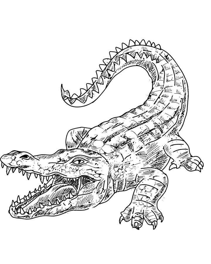 Kids Coloring Book - Etsy
