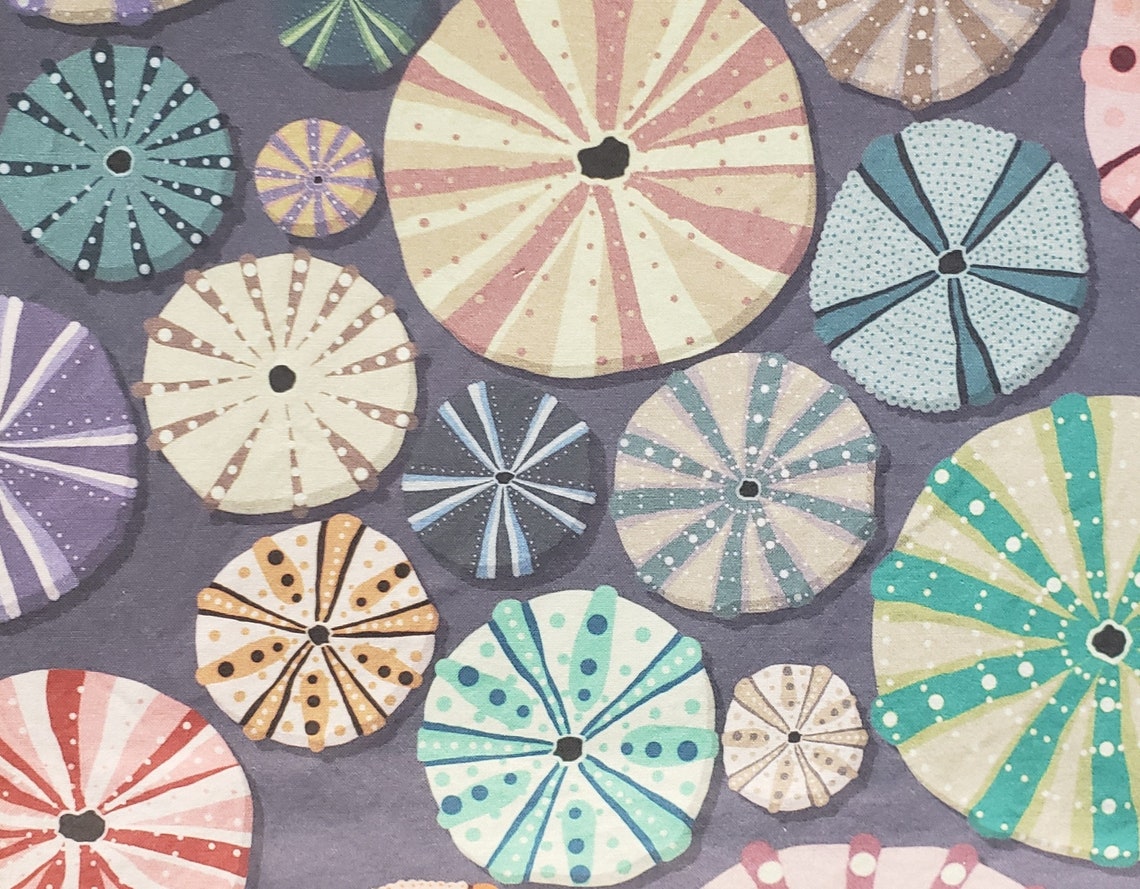 Adult Forager Pockets Teardrop Shape Sea Urchin - Etsy