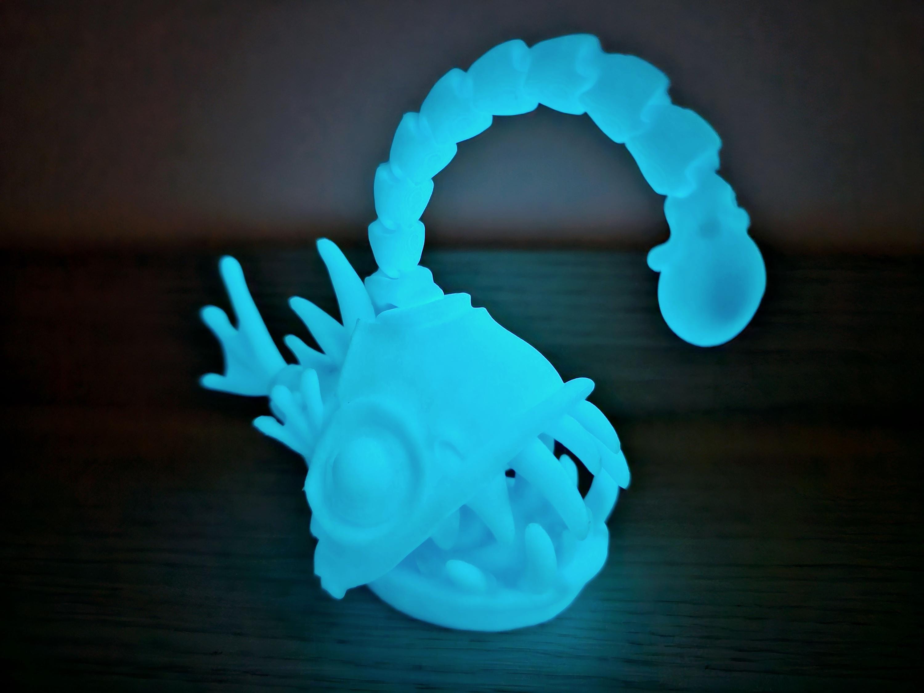 Angler Fish Flexi 3D Printed Model - Etsy UK