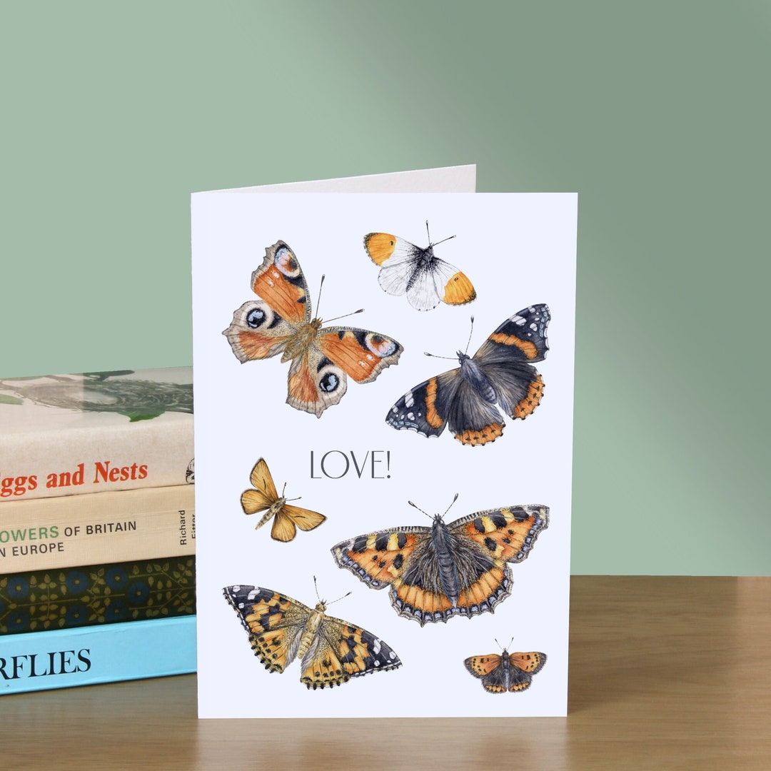 Butterfly Love Greetings Card, 5x7 Blank Notelets 12.7 X 17.78 Cm ...