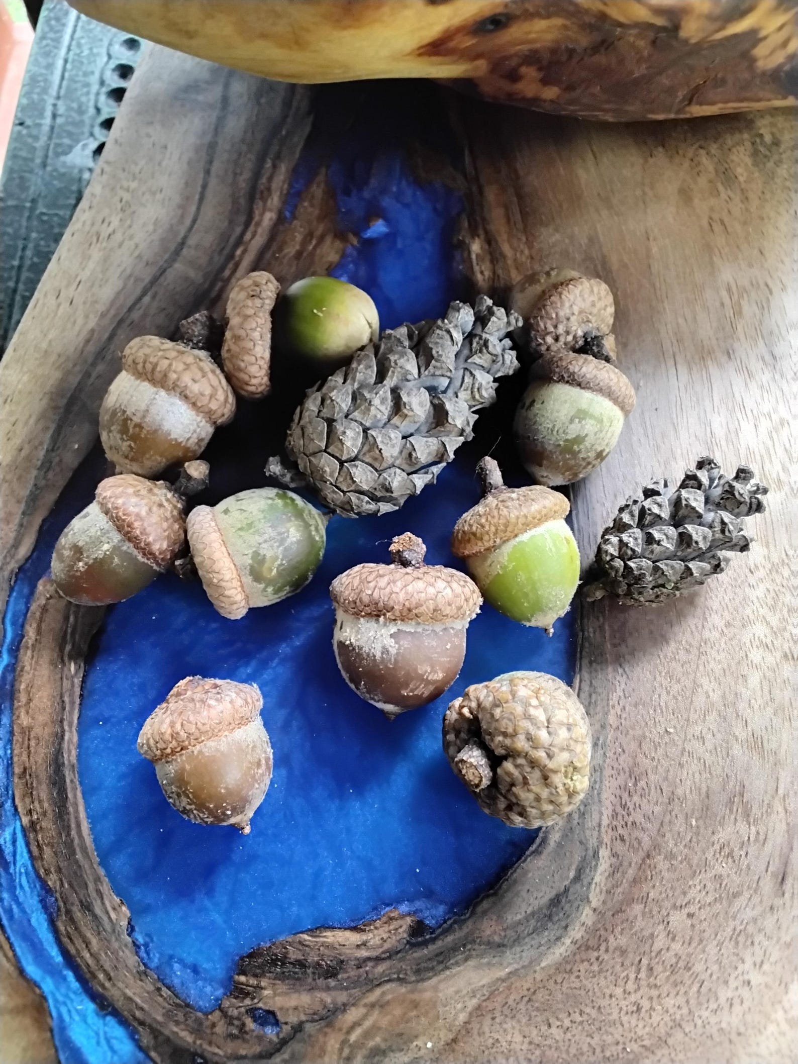 Autumn Acorn and Pinecone Decorative Mix - Etsy