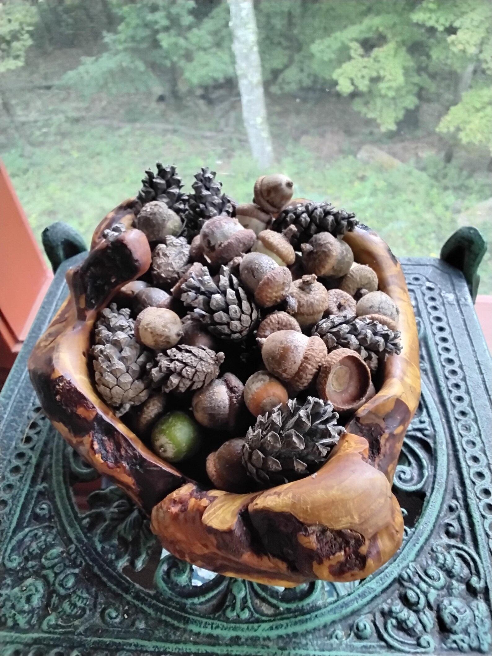 Autumn Acorn and Pinecone Decorative Mix - Etsy