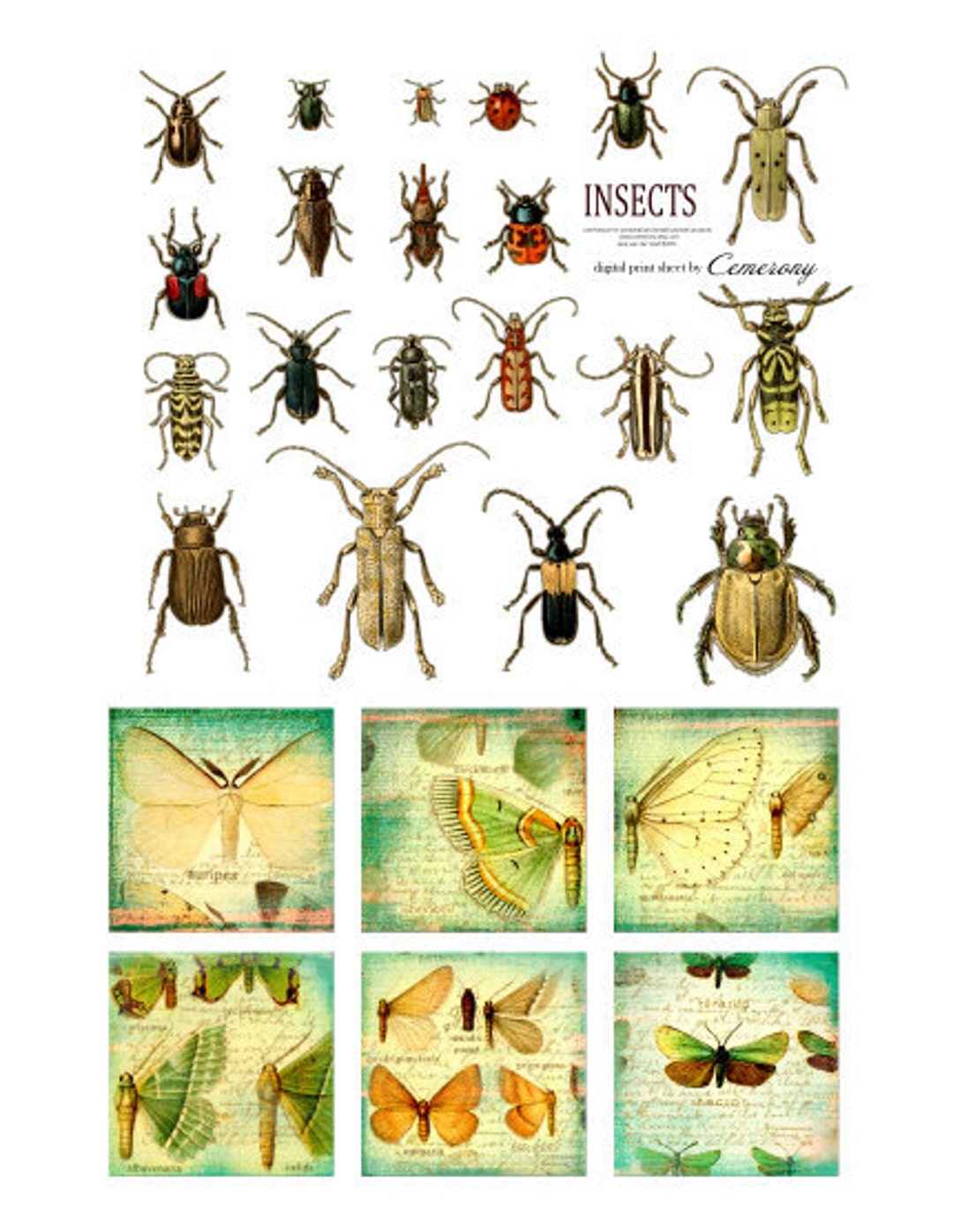 Insects Butterflies Digital Collage Sheet No255 - Etsy