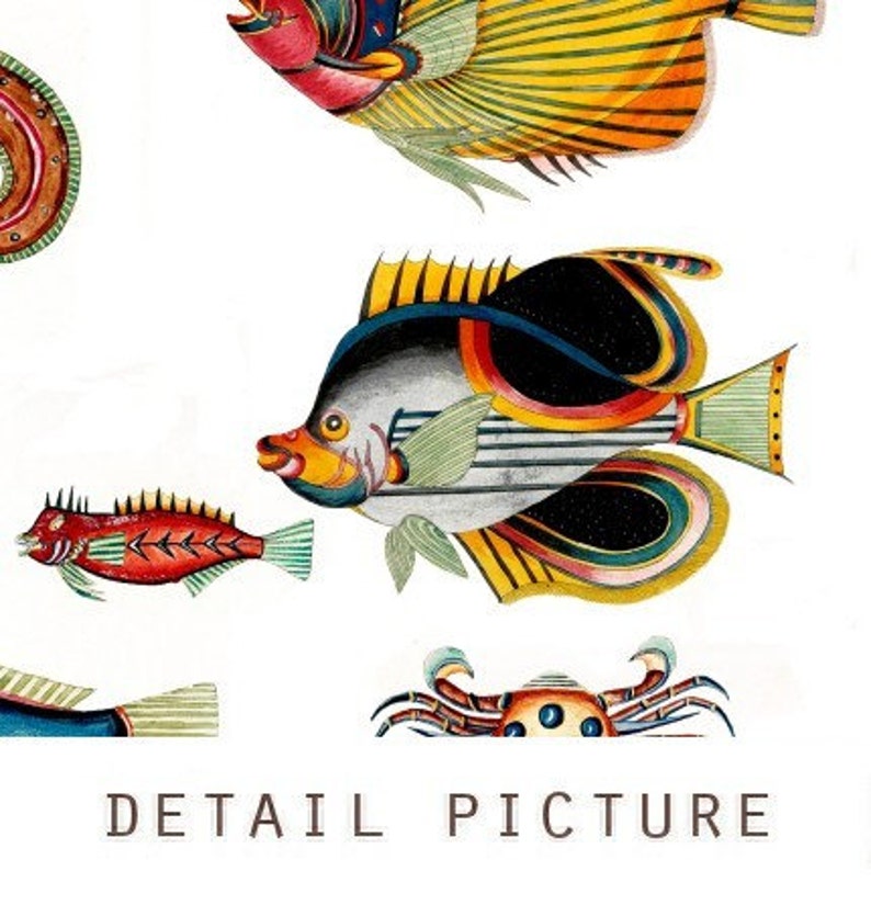 Fantasy Fish Digital Collage Print Sheet No175 - Etsy