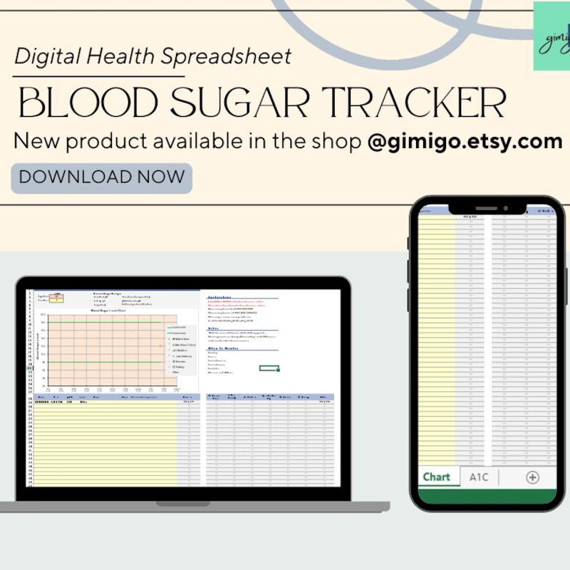 Diabetes Tracking Spreadsheet - Etsy