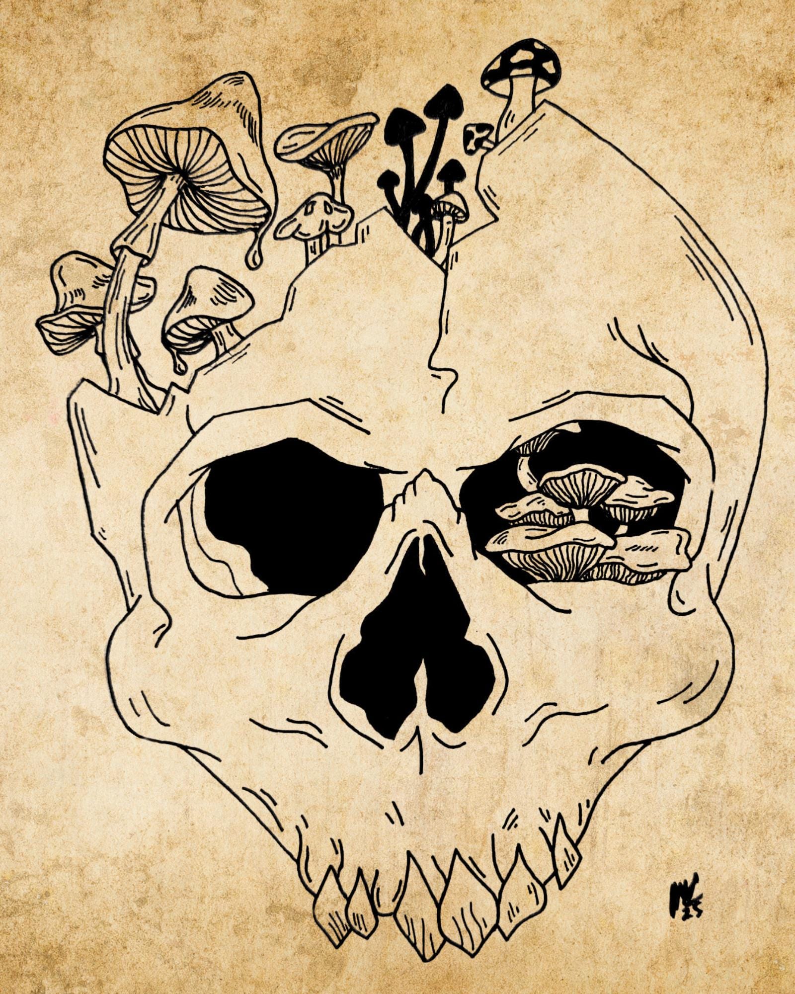 Mushrooms and Skull Drawing Art Print - Etsy