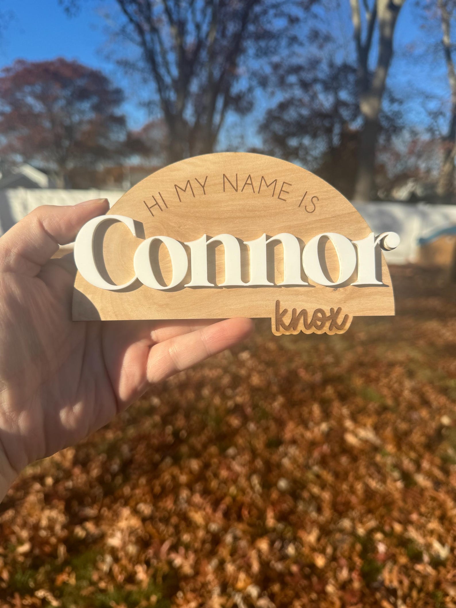 New Baby Sign, Name Sign, Baby Name Sign, Fresh 48, Hospital Sign - Etsy