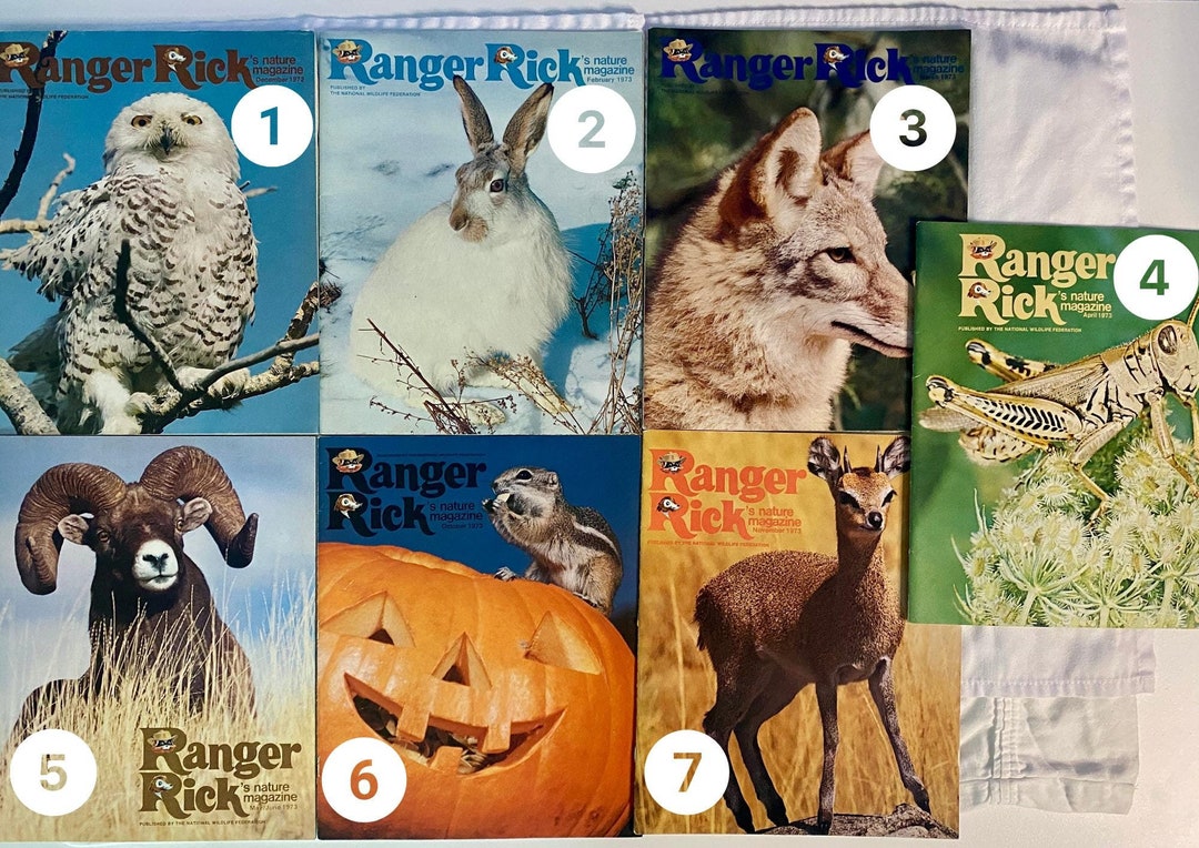 Vintage Ranger Rick's Nature Magazine 1970s Wildlife Biology Nature ...
