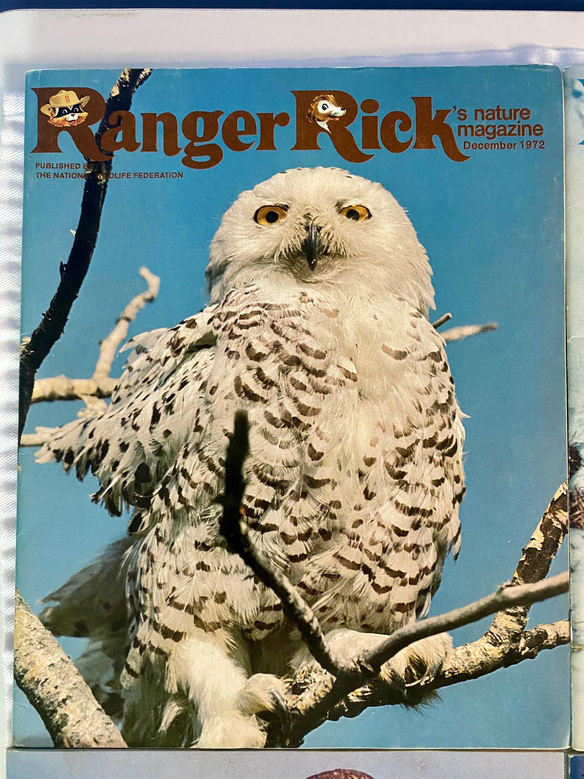 Vintage Ranger Rick's Nature Magazine 1970s Wildlife Biology Nature ...