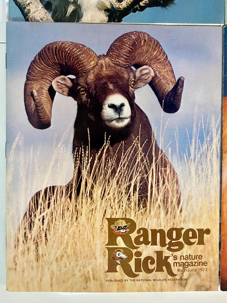 Vintage Ranger Rick's Nature Magazine 1970s Wildlife Biology Nature ...