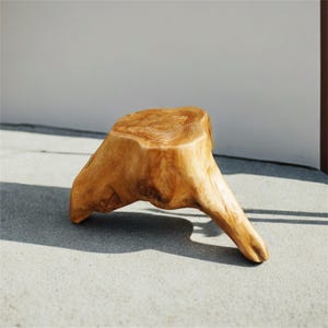 Handcrafted Cedar Root Stool: Rustic Accent Table or Plant Stand ...