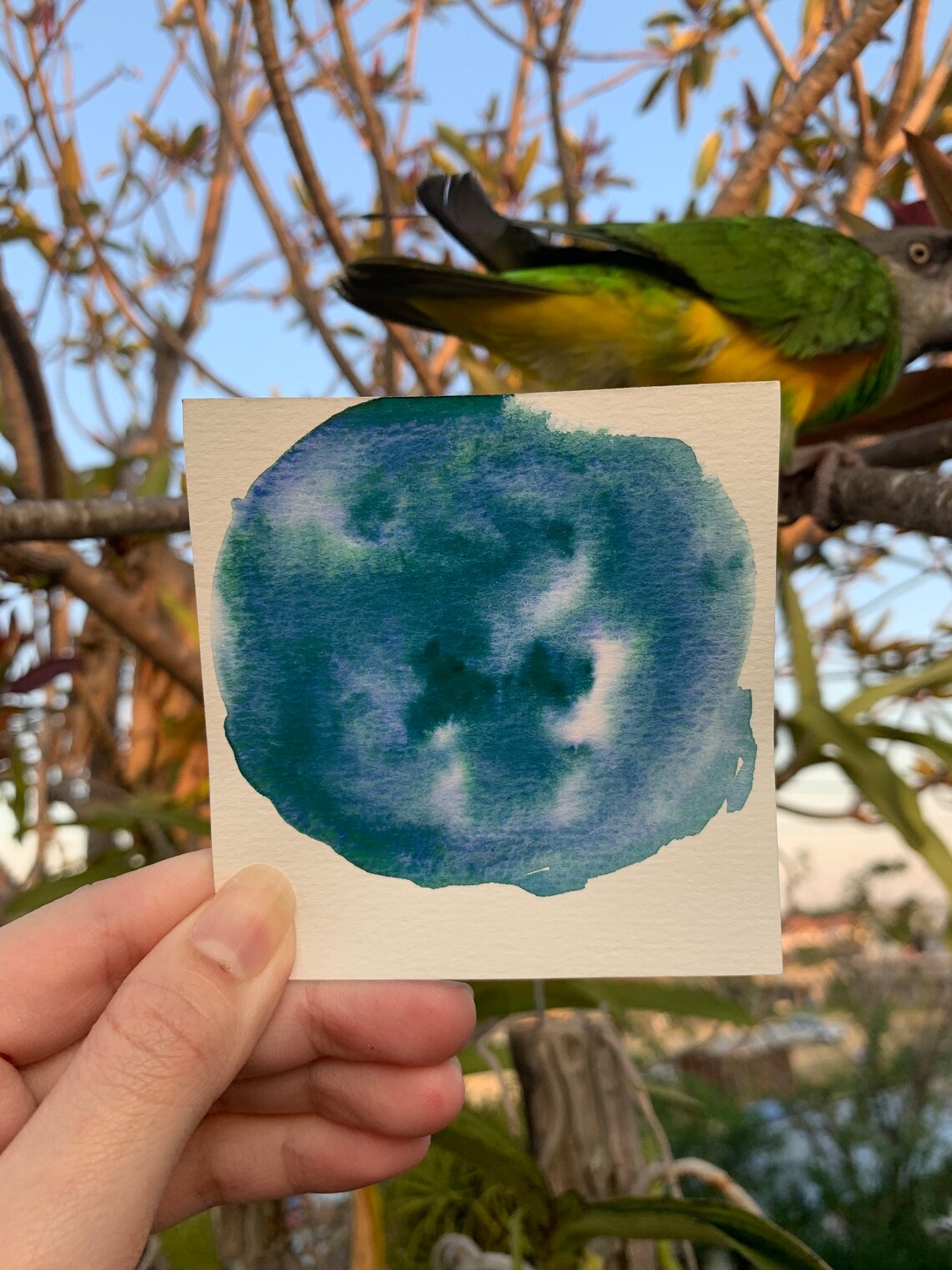 Blue_e -handmade Watercolor Paint. - Etsy
