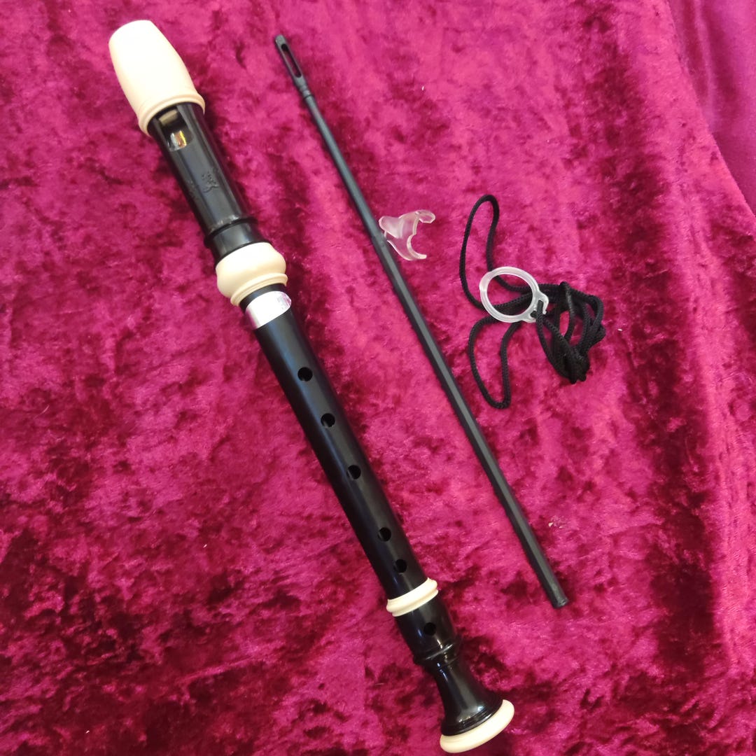 Beginner's 6 Hole Recorder - Music Maker - Traditional Design Starters ...