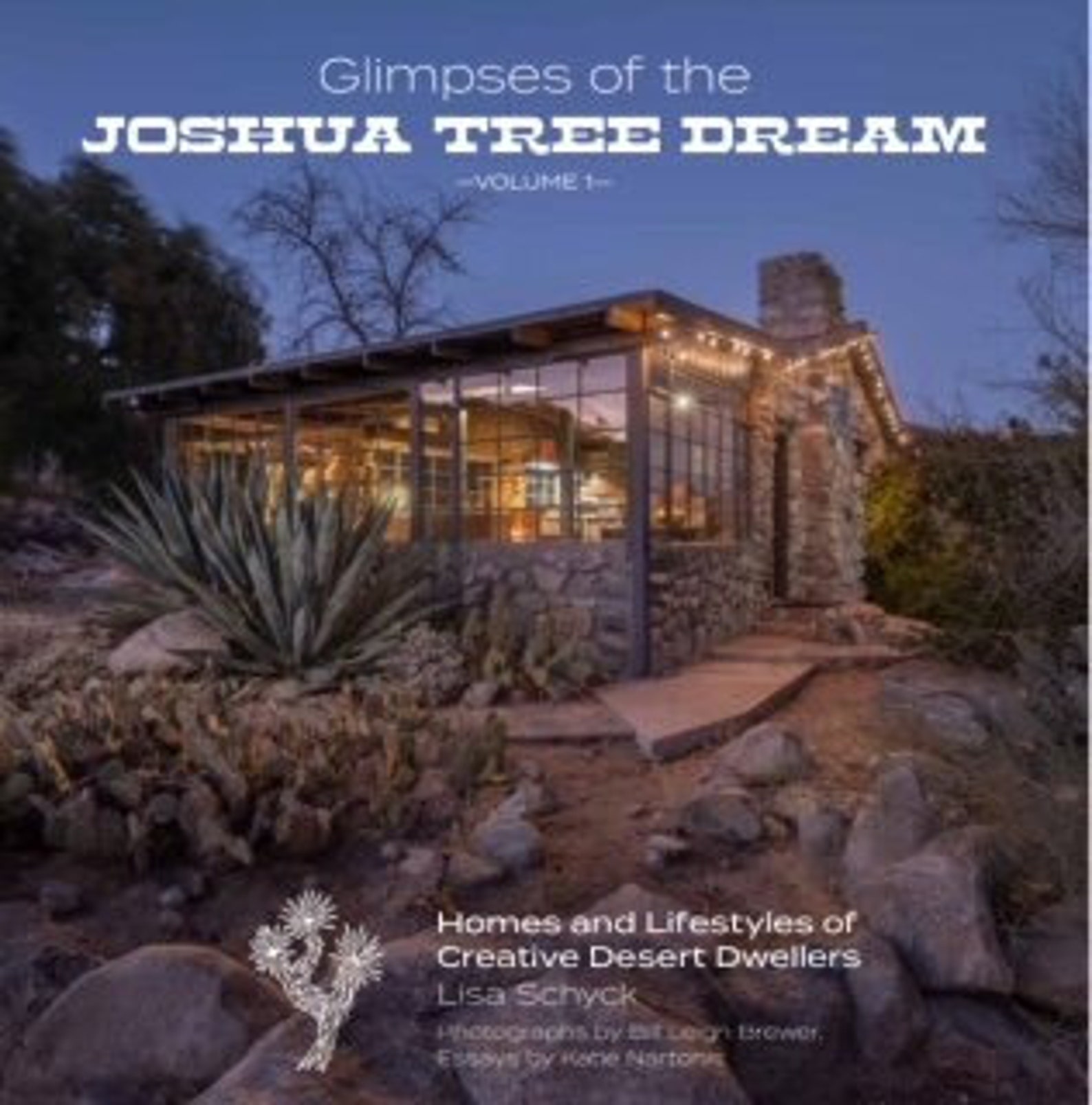 Glimpses of the Joshua Tree Dream - Etsy