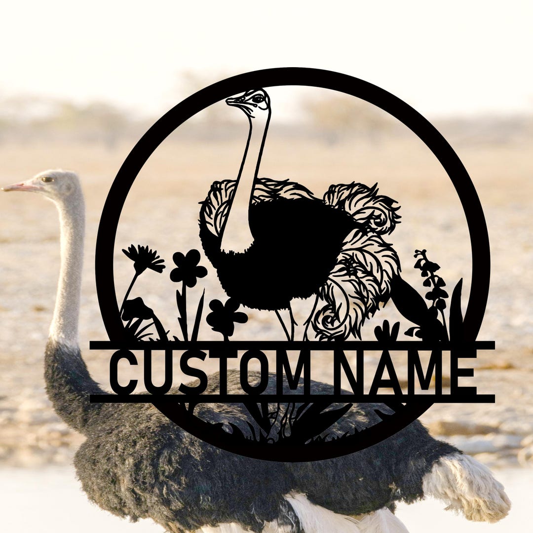 Personalized Ostrich Name Metal Sign,custom Ostrich Metal Wall Art ...
