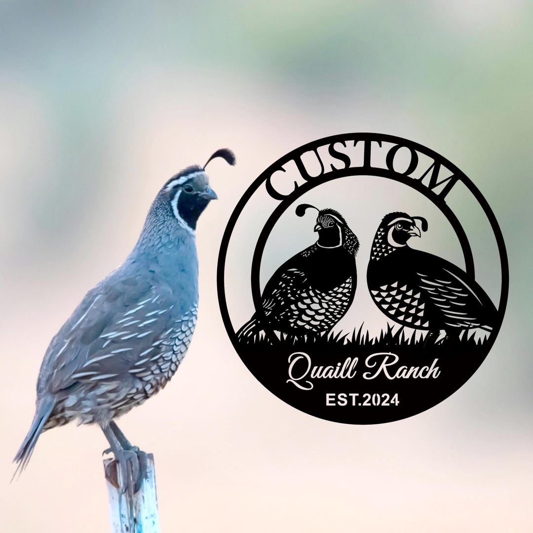 Personalized Quails Metal Wall Art,custom Quails Ranch Name Metal Sign ...