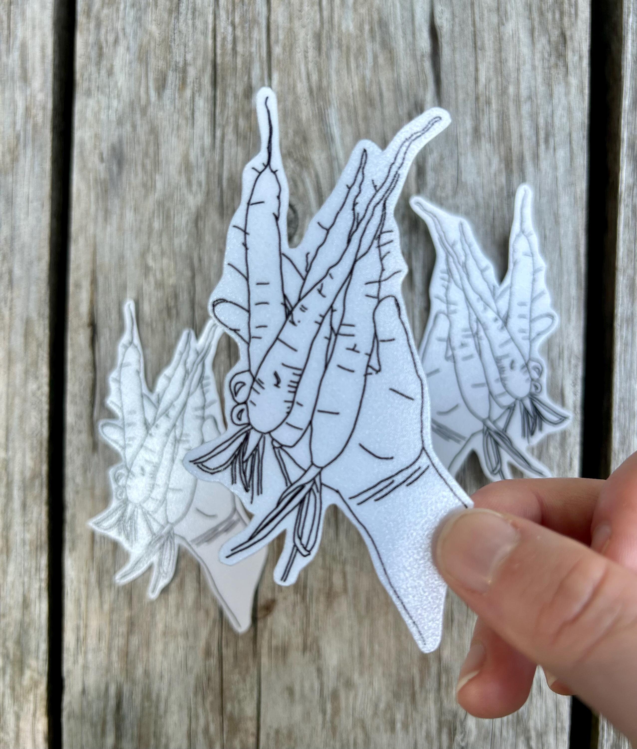 Carrots Sticker // Transparent // Line Art // Line Drawing // Vegetable ...