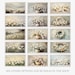 TV Frame With Realistic Hyacinth Flowers, Hyacinth TV Art Decor for ...