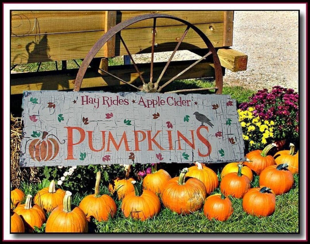 Pumpkin Signs - Cottage Vintage Style Signs - Primitive Signs 10X24 ...