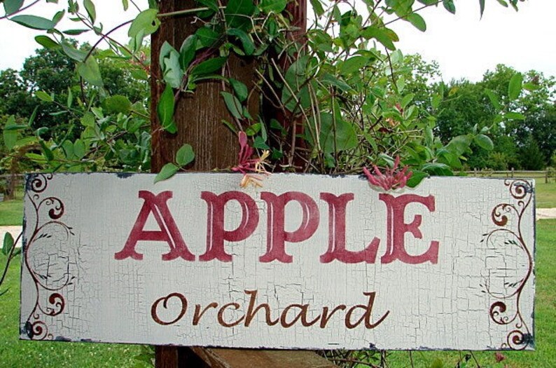 APPLE Orchard Sign 10X24 Vintage Style Signs Handmade Shabby - Etsy