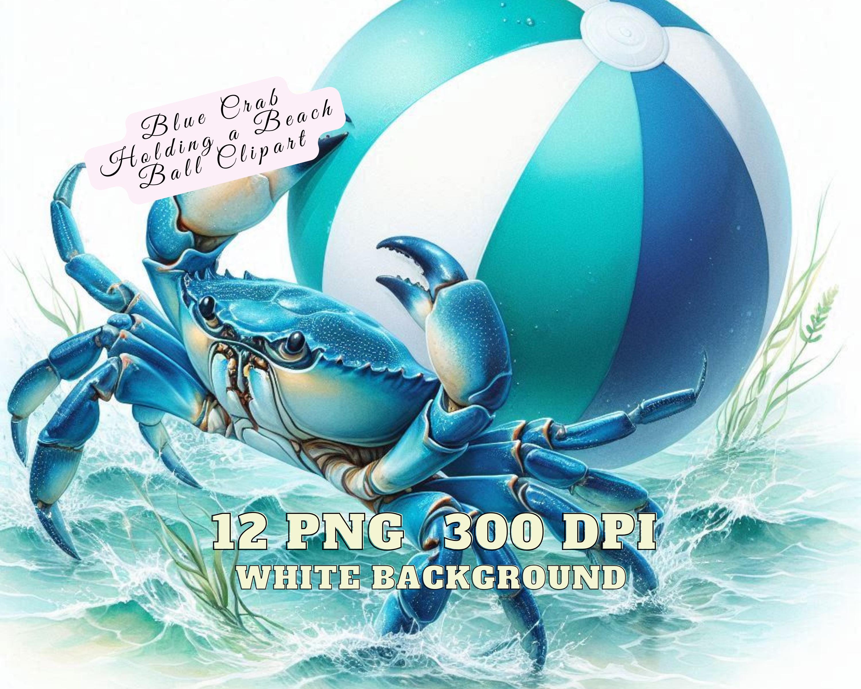 Blue Crab Clipart, Blue Crab Holding a Beach Ball Clipart, Blue Crab ...