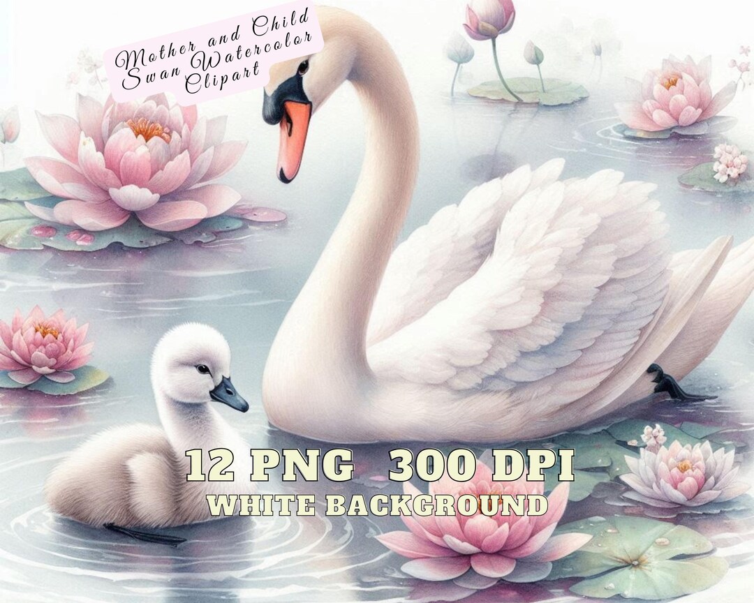 12 Swan Clipart, Mother and Child Swan Watercolor Clipart, Mother and ...
