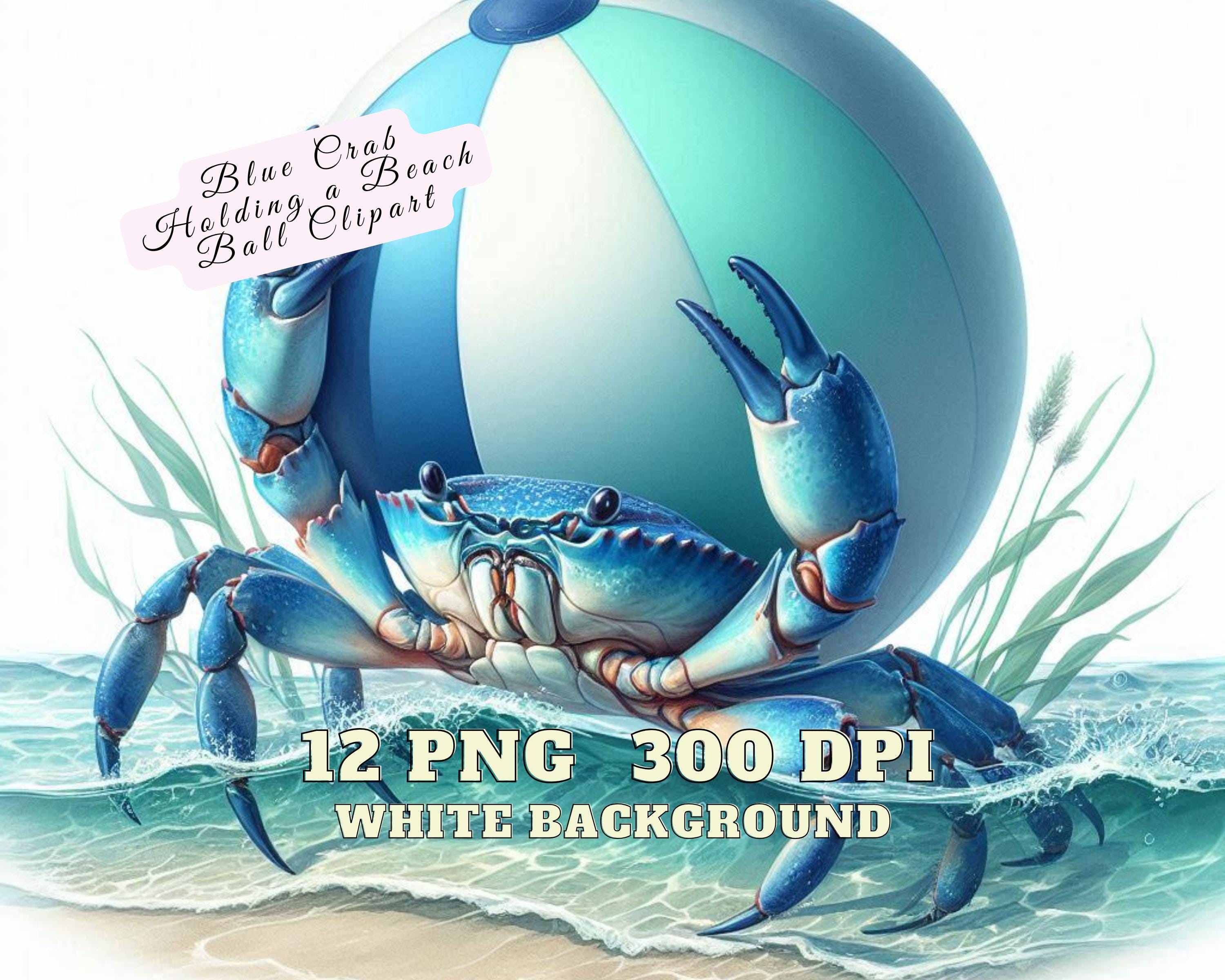 Blue Crab Clipart, Blue Crab Holding a Beach Ball Clipart, Blue Crab ...